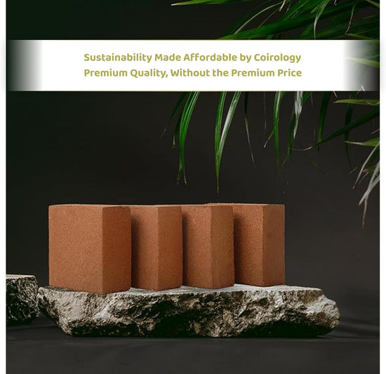 Coco Coir Blocks 5kg - Bulk Compressed Coco Coir Bricks – Coirology